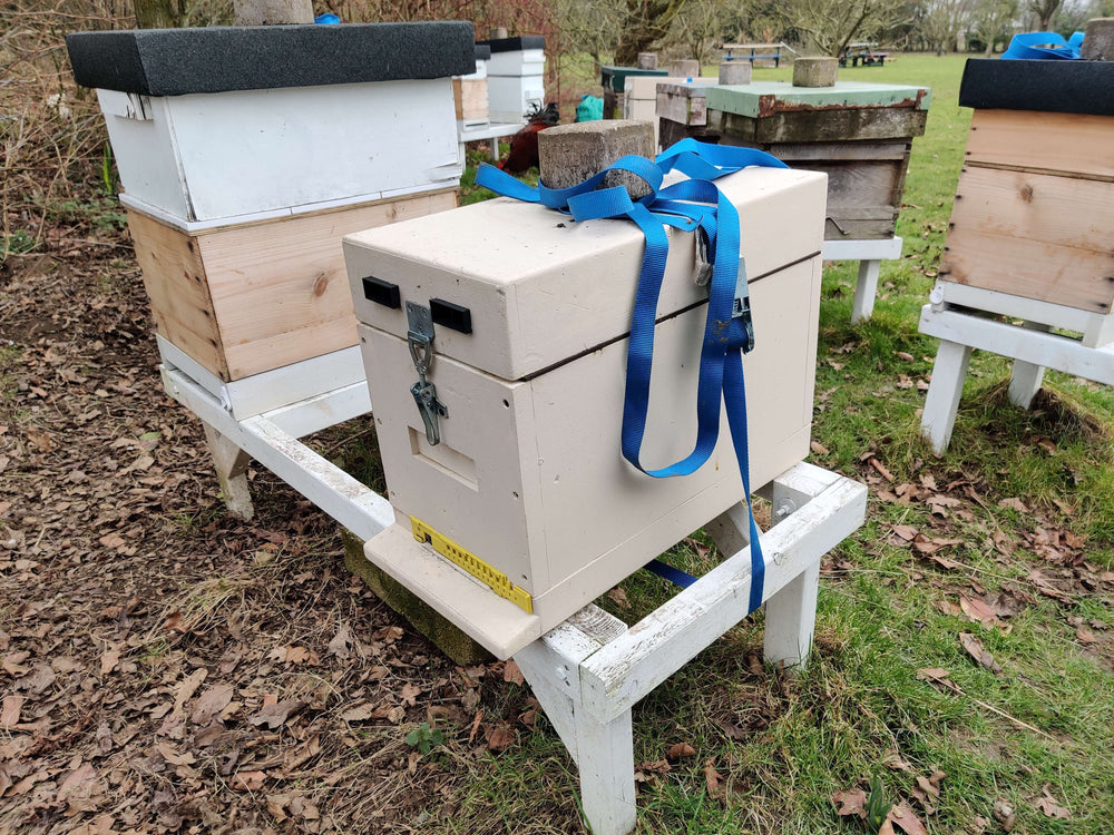 The Hive Guide™ – The Hive Guys