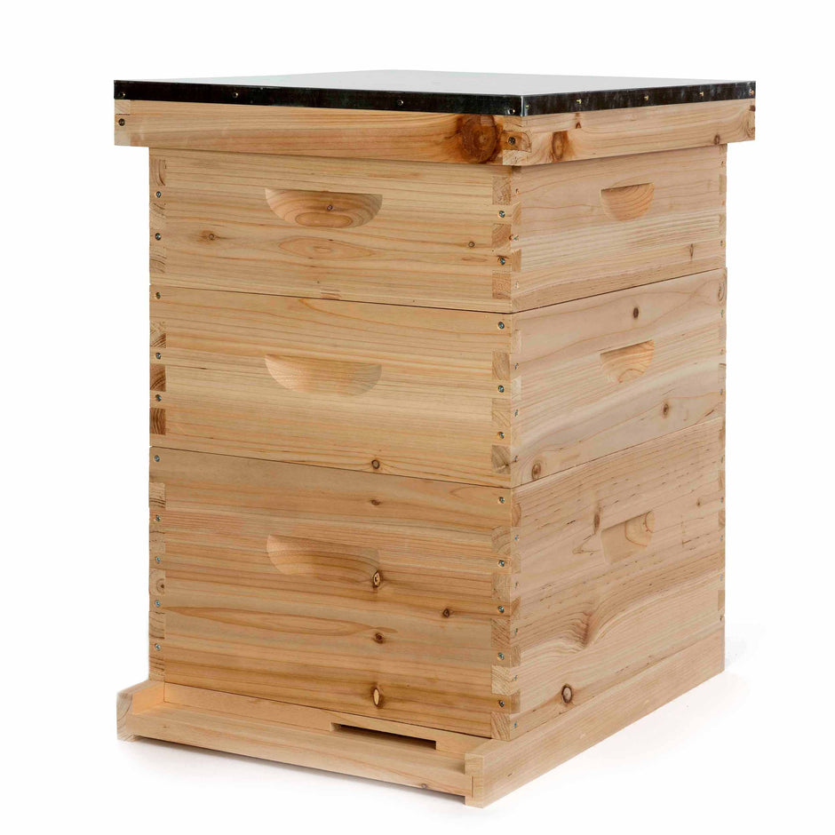 Queen Bees, Bee Hives and Nucs for Sale from The Hive Guys